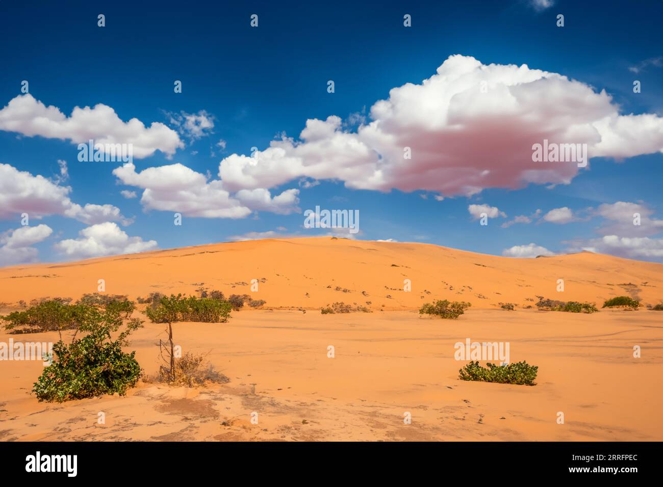 climate change desert landscape Stock Photo - Alamy