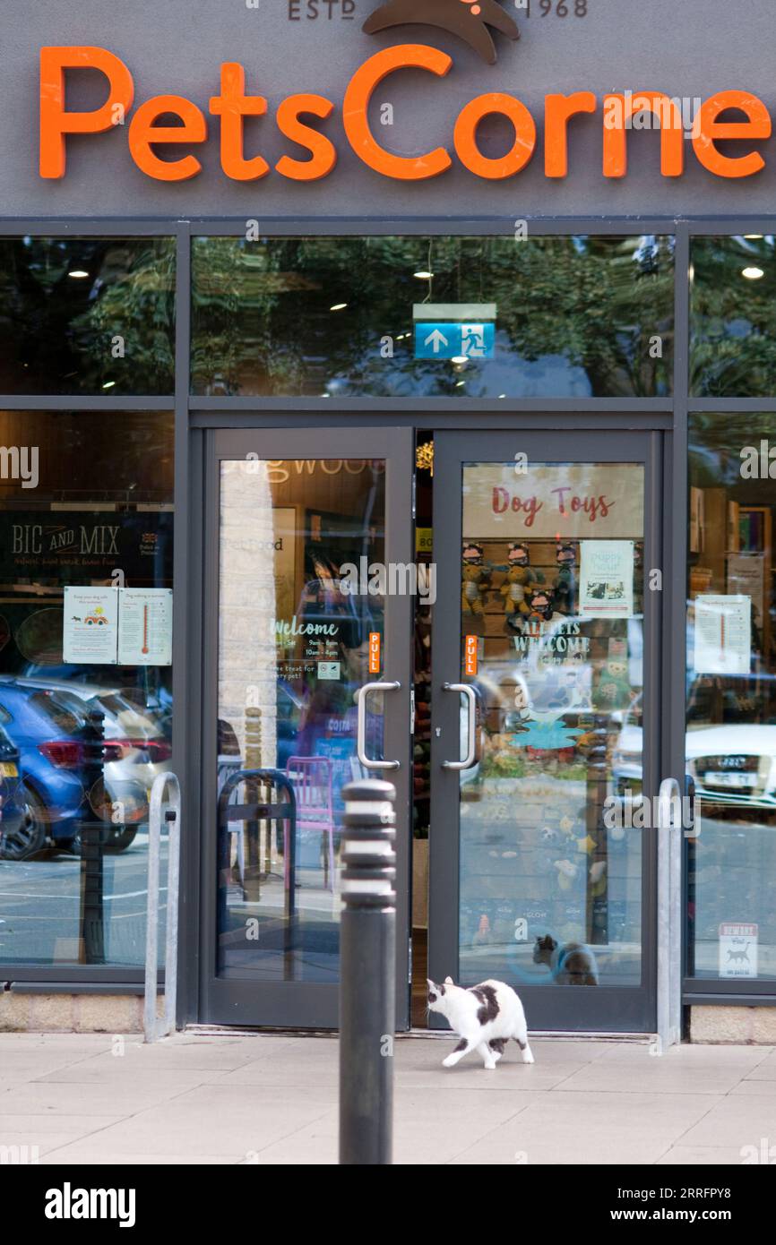 Pets Corner with Cat waiting for owner at Chipping Norton Oxfordshire ...