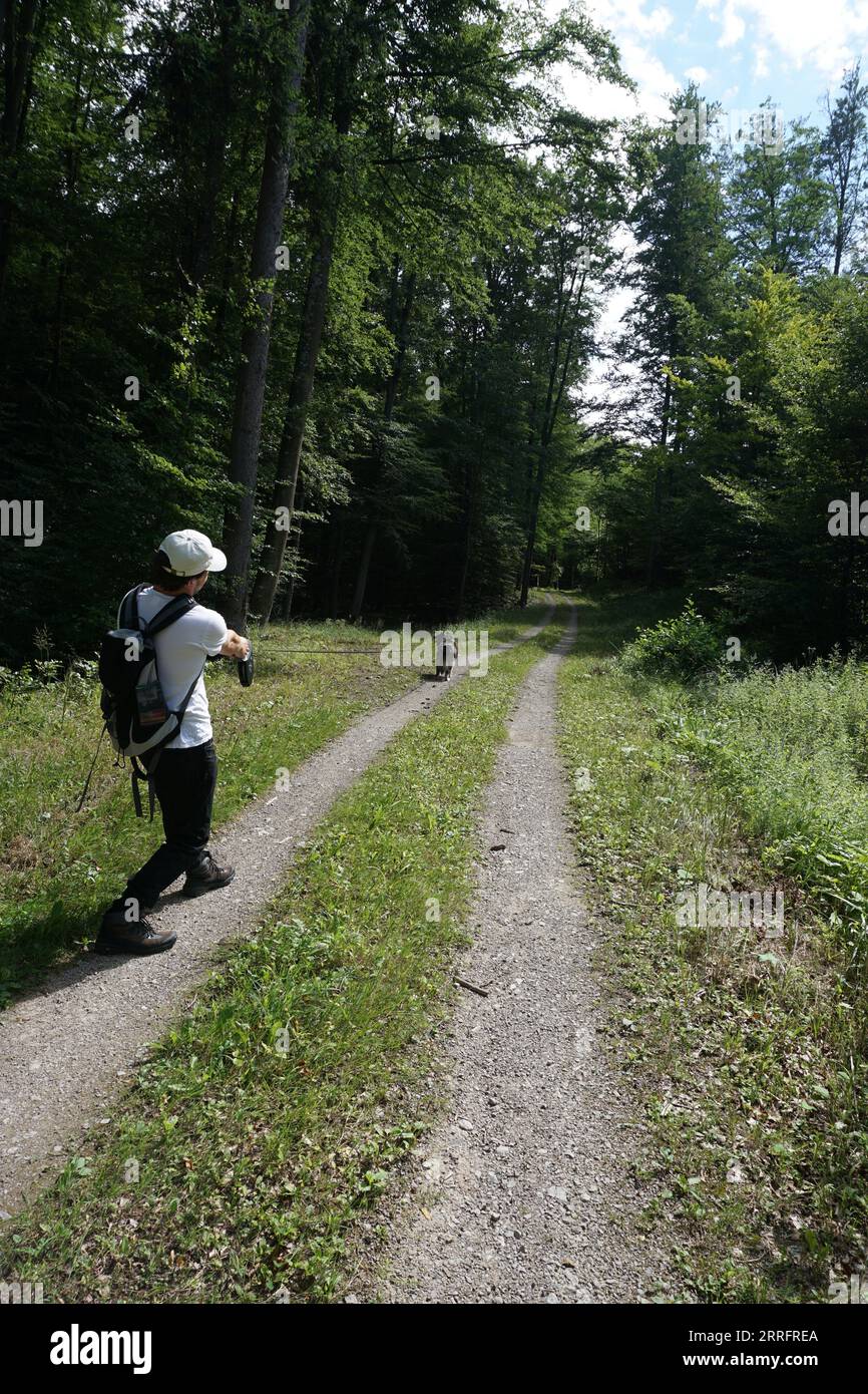 Viennese forest hi-res stock photography and images - Alamy