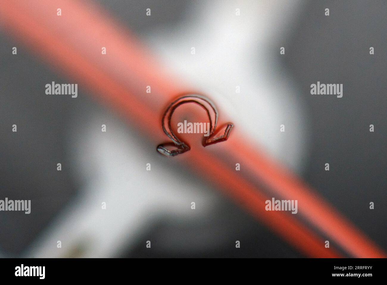 Omega Speedmaster Speedy Tuesday Models Stock Photo - Alamy