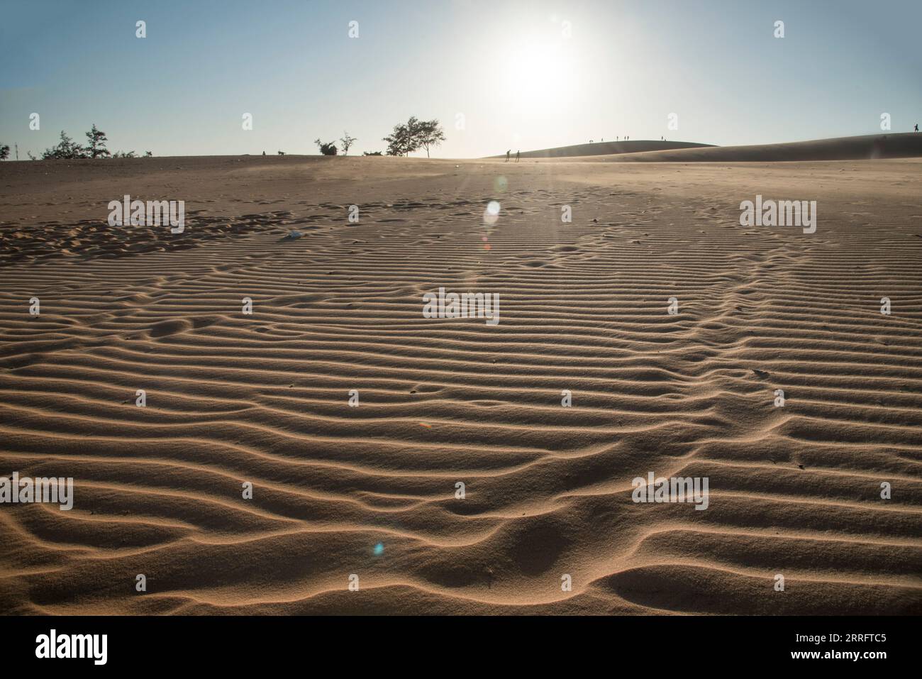 scene of the breathtaking sand dunes field Stock Photo - Alamy