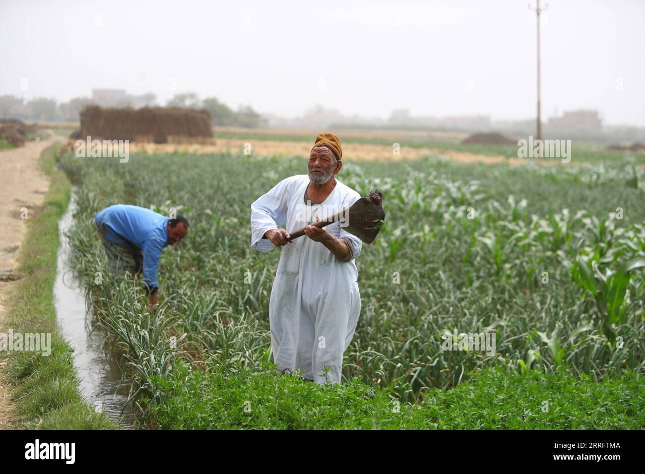 Tarsh hi-res stock photography and images - Alamy
