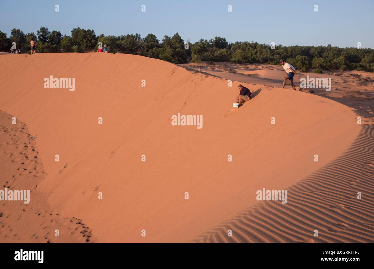scene of the breathtaking sand dunes field Stock Photo - Alamy