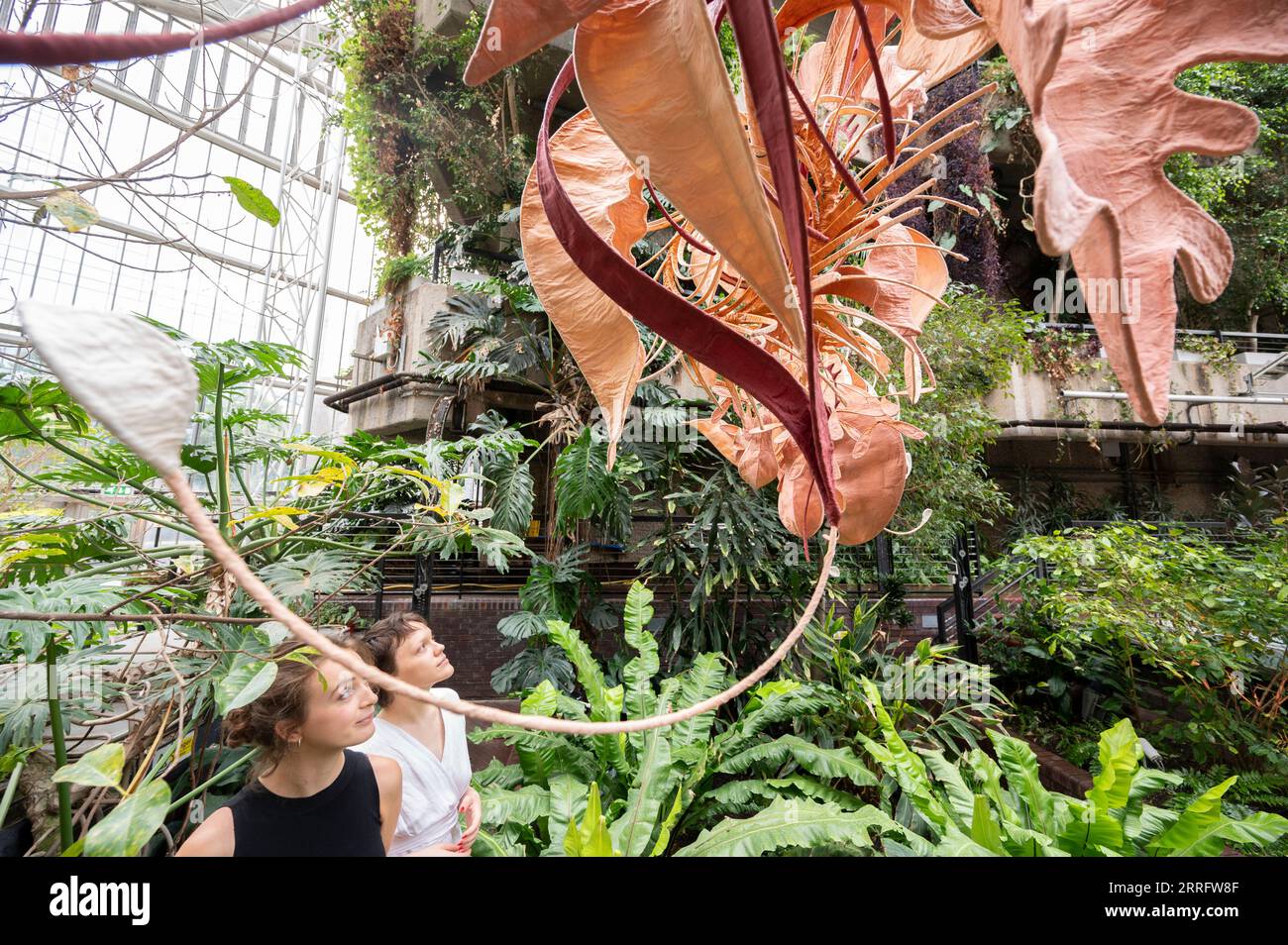 Barbican Conservatory, Barbican Centre, London, UK. 8th Sept, 2023 ...