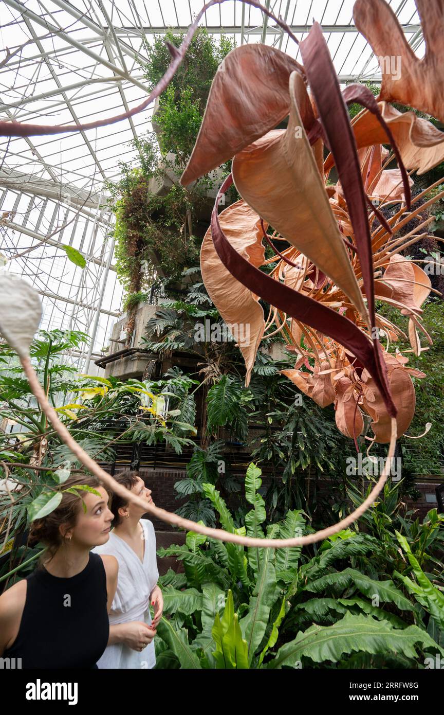 Barbican Conservatory, Barbican Centre, London, UK. 8th Sept, 2023 ...