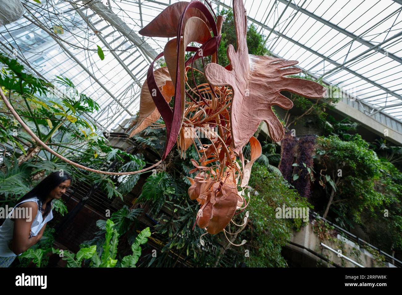 Barbican Conservatory, Barbican Centre, London, UK. 8th Sept, 2023. The ...