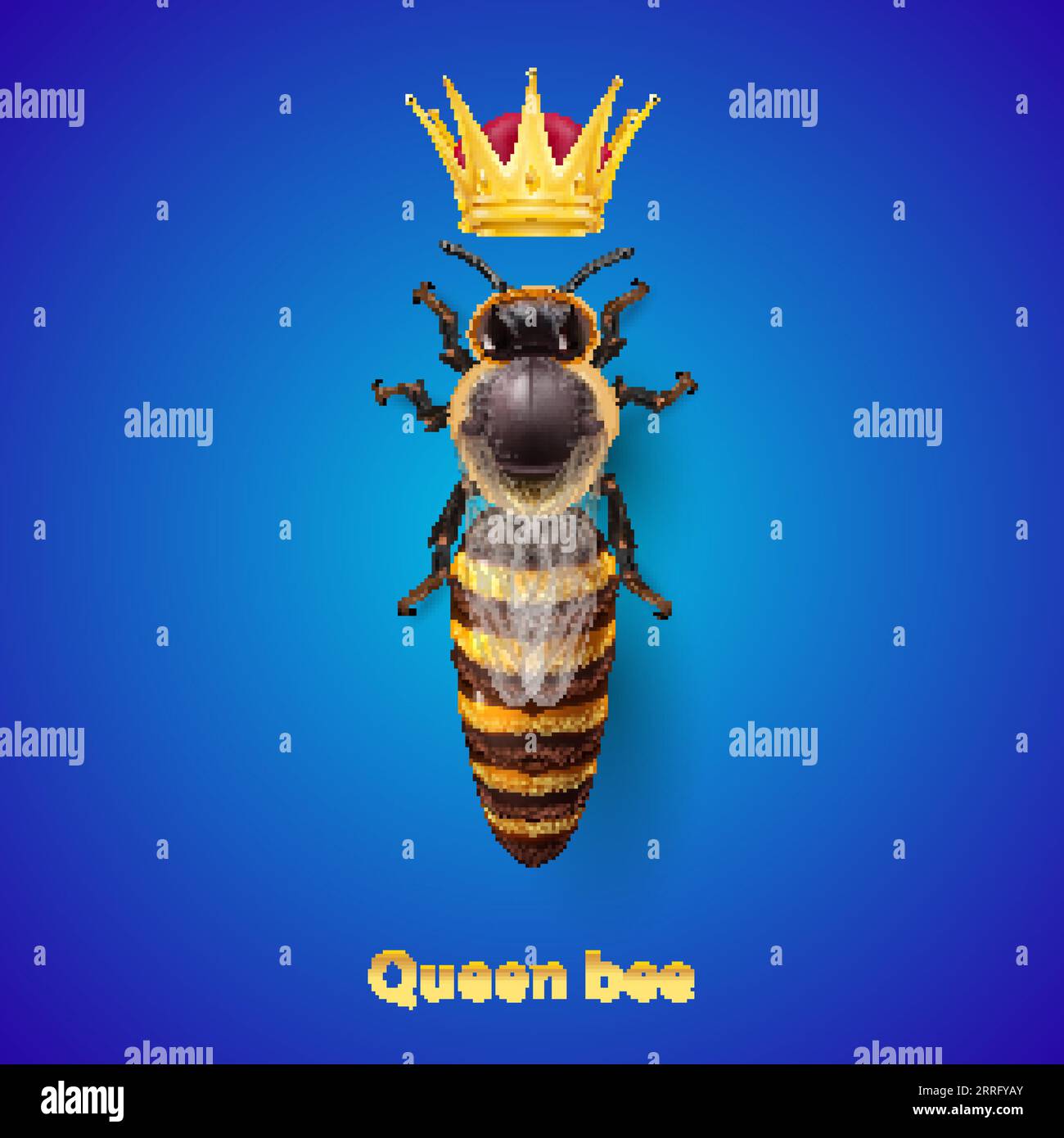 Queen Bee Size
