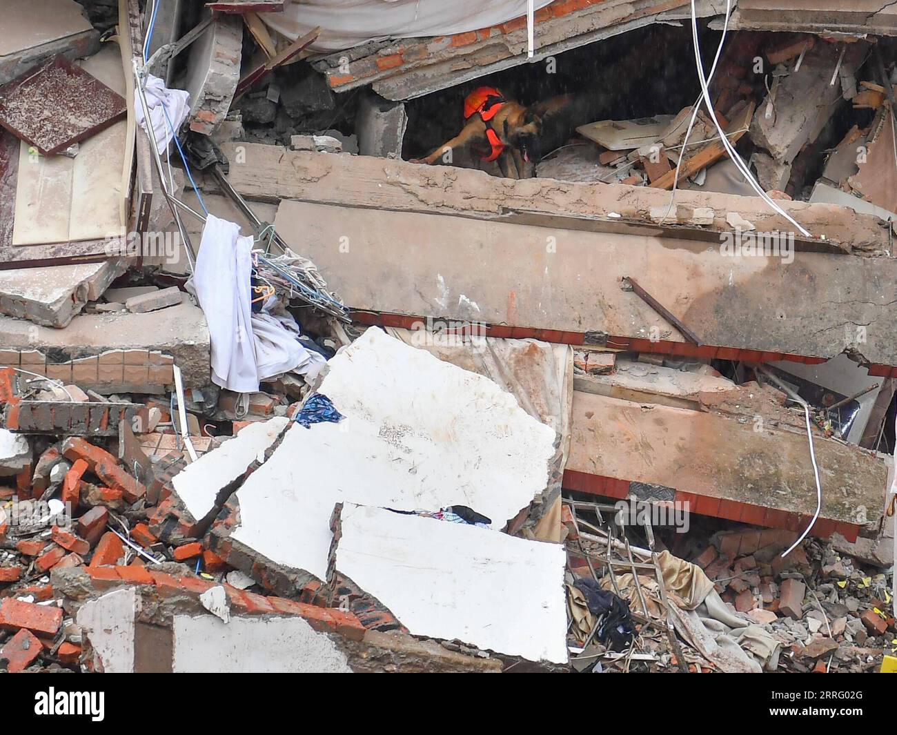 Preliminaryinvestigation hi-res stock photography and images - Alamy