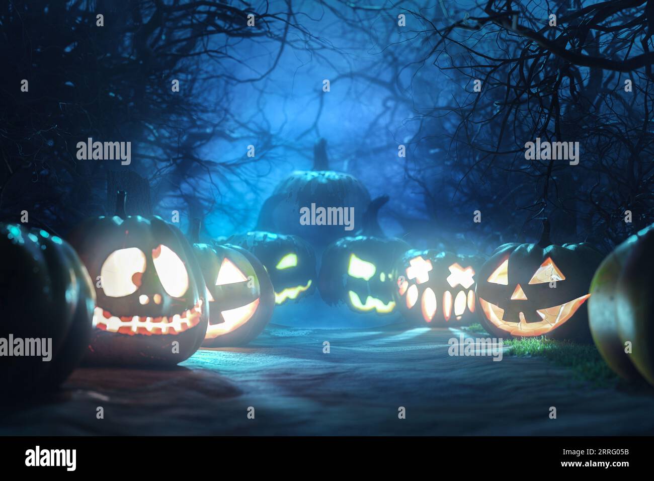 Halloween Backdrop. Halloween Pumpkins In Spooky Forest At Night ...