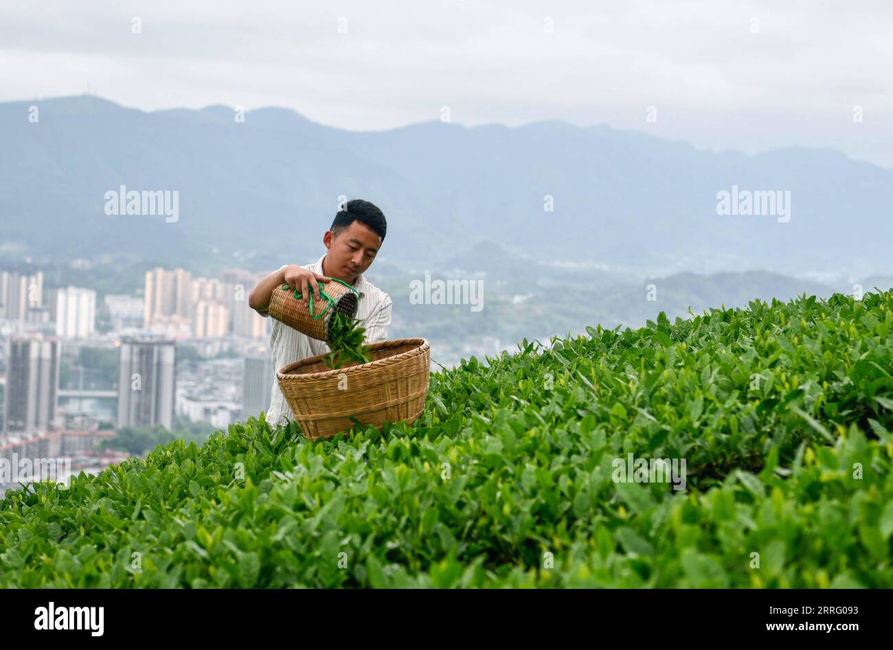 Guo jun hi-res stock photography and images - Alamy