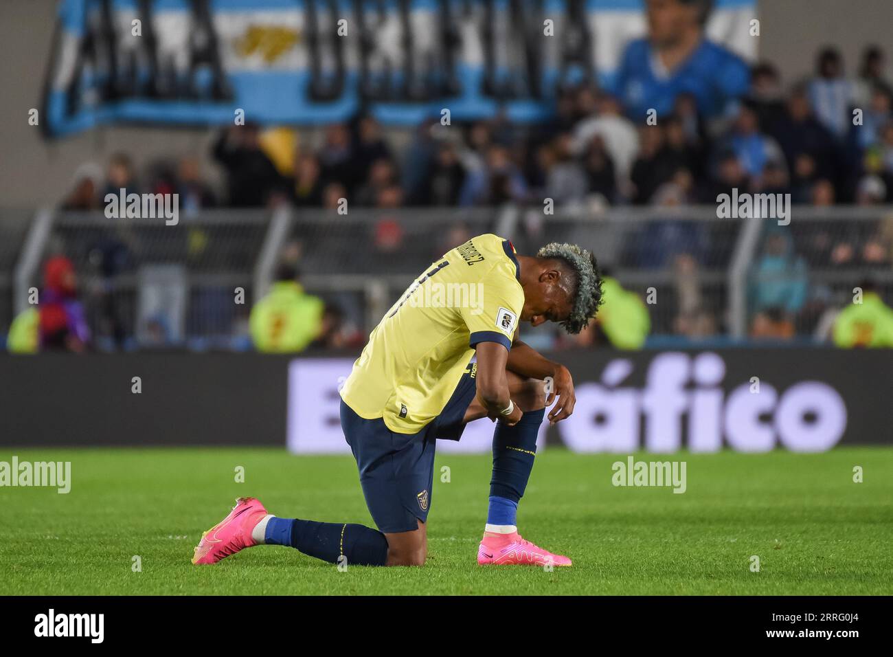 Kevin rodriguez ecuador hi-res stock photography and images - Alamy