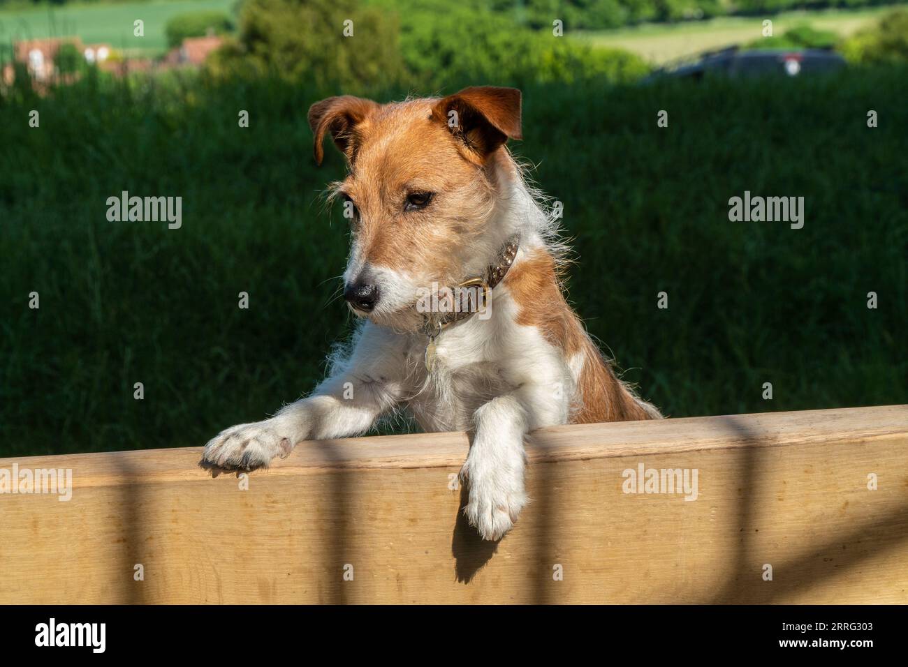 Midsomer Murders, The Witches of Angel Rise Stock Photo - Alamy