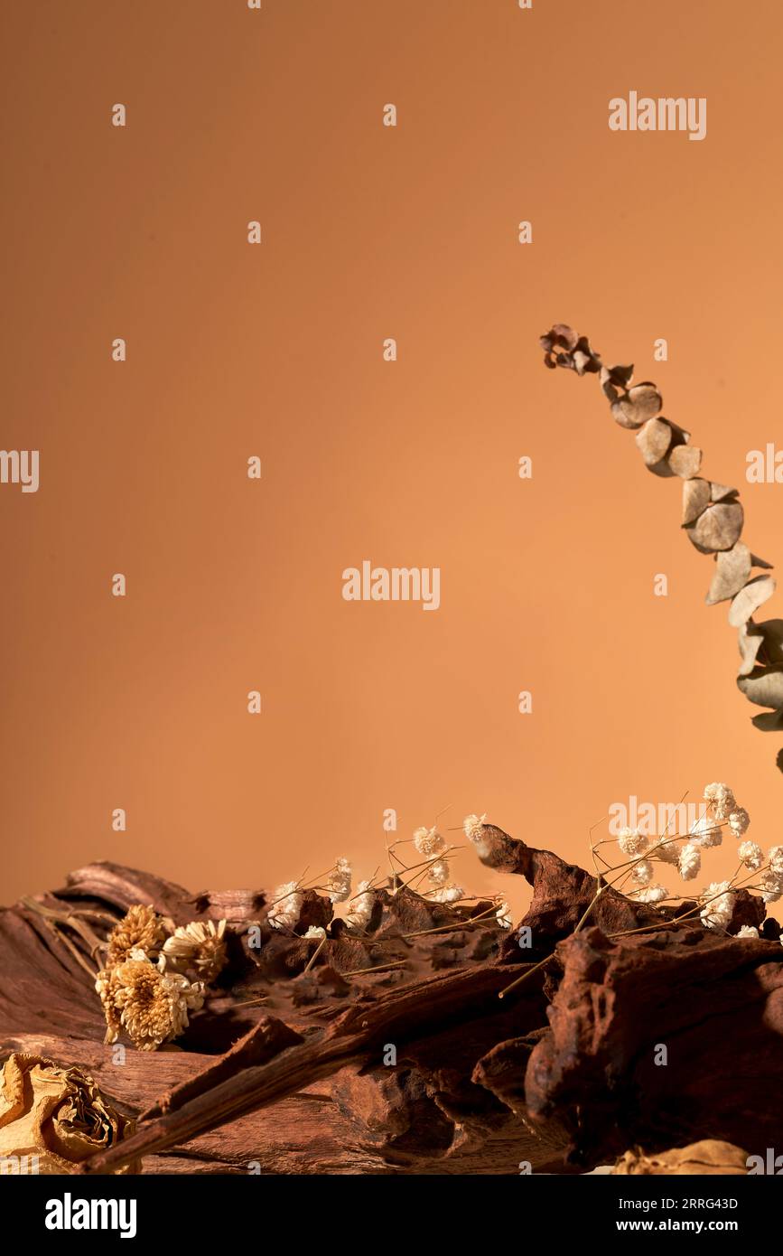 Backgound spotlight hi-res stock photography and images - Alamy