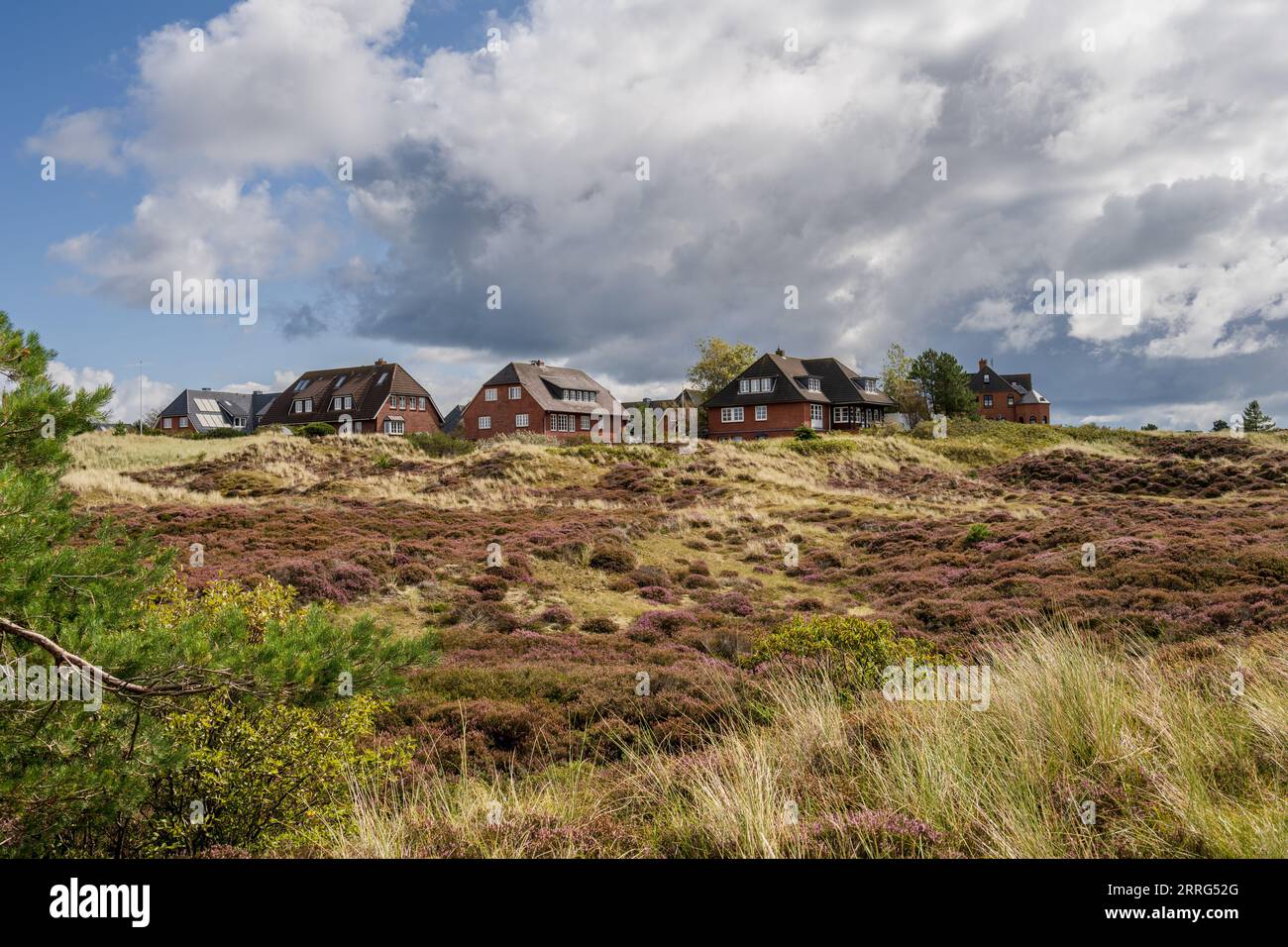 Dünenlandschaft auf der Norseeinsel Amrum mit dramatischen Wolken und Blich auf Ferienhäuser in ...