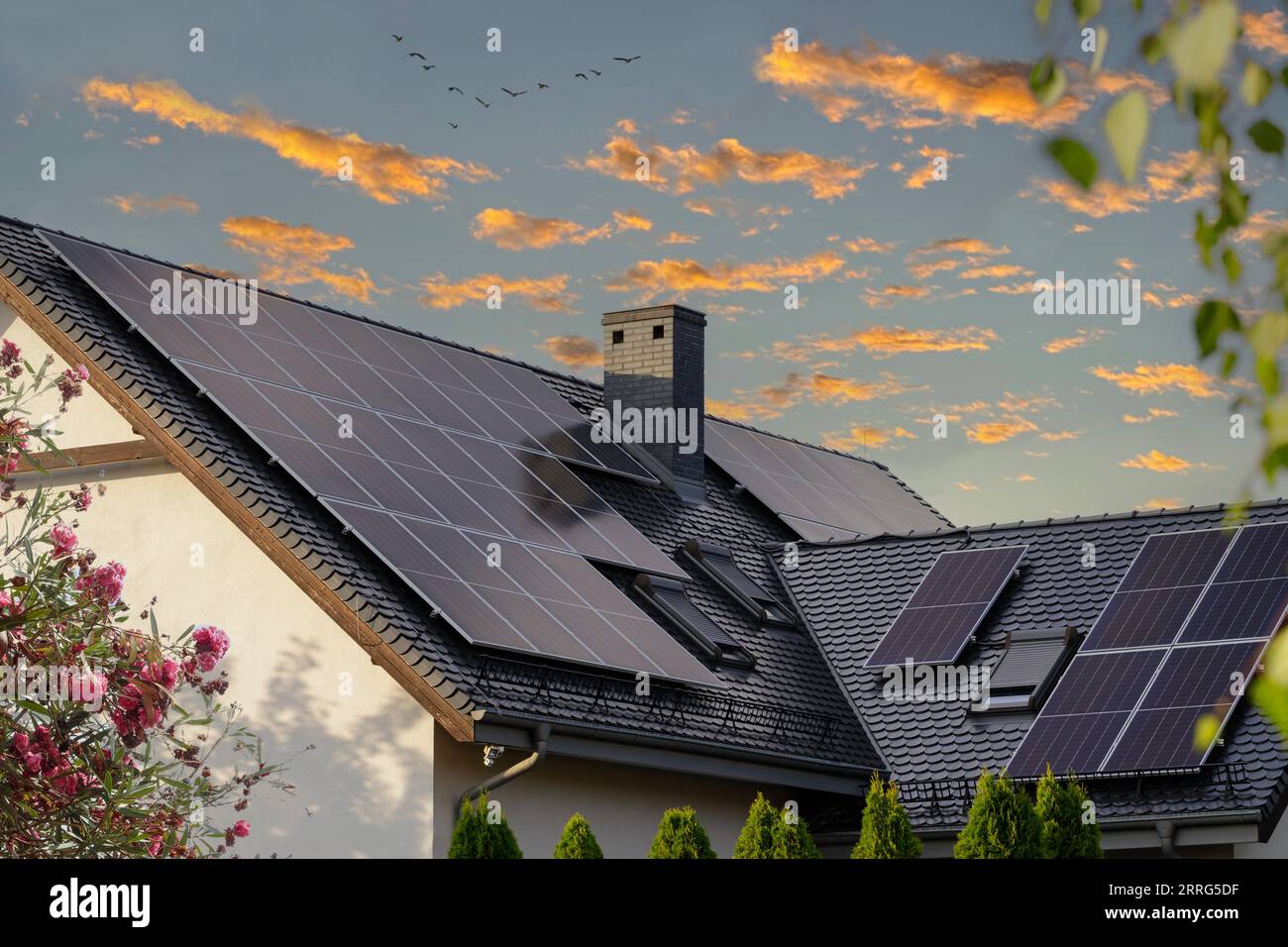 Solar-Powered Home: Modern House with Solar Panels Stock Photo - Alamy