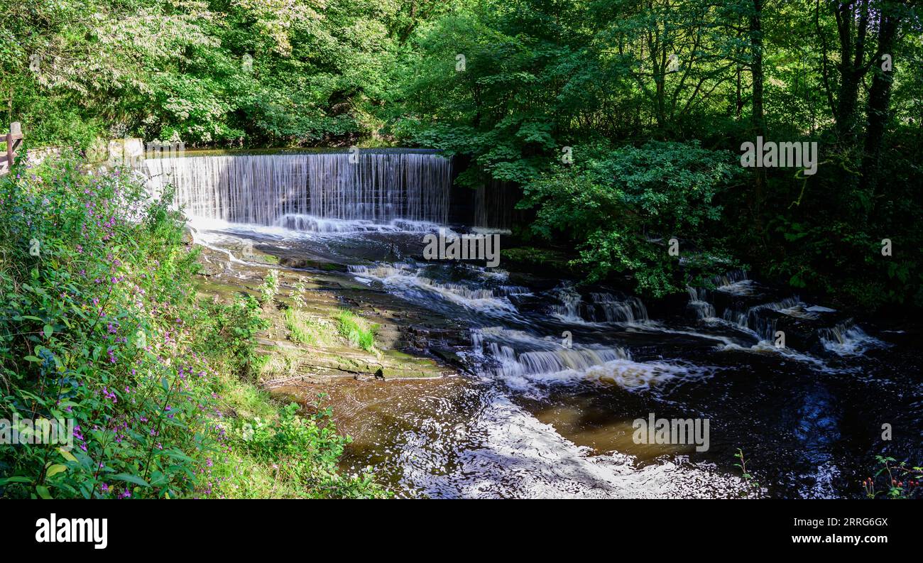 Yarrow valley park hi-res stock photography and images - Alamy