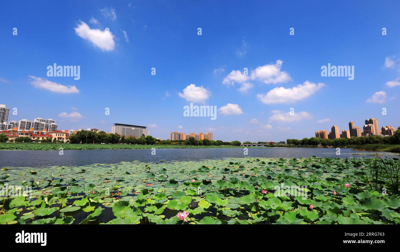 Beautiful waterfront city scenery, North China Stock Photo - Alamy