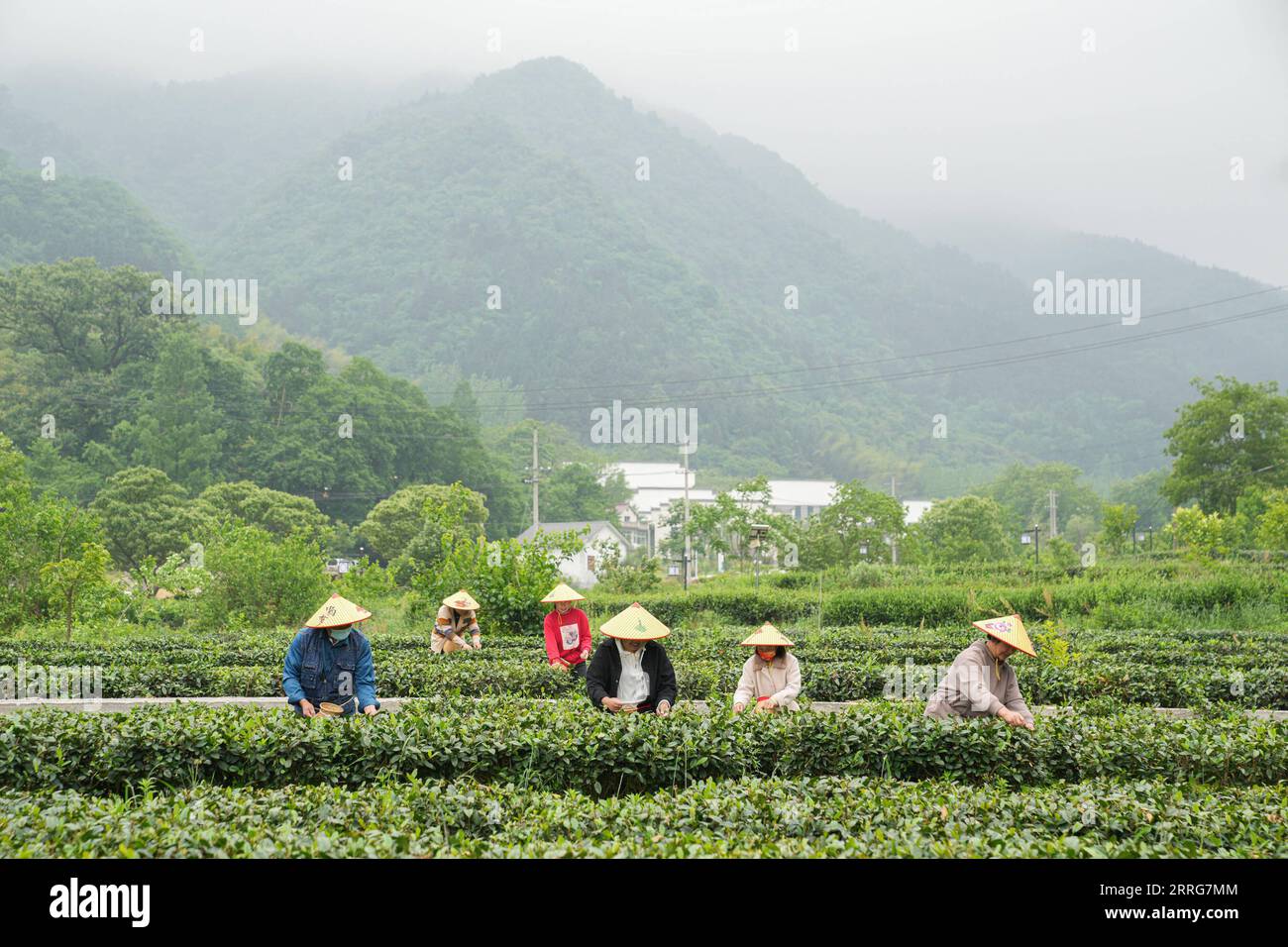 Planting garden 11 12 years hi-res stock photography and images - Alamy