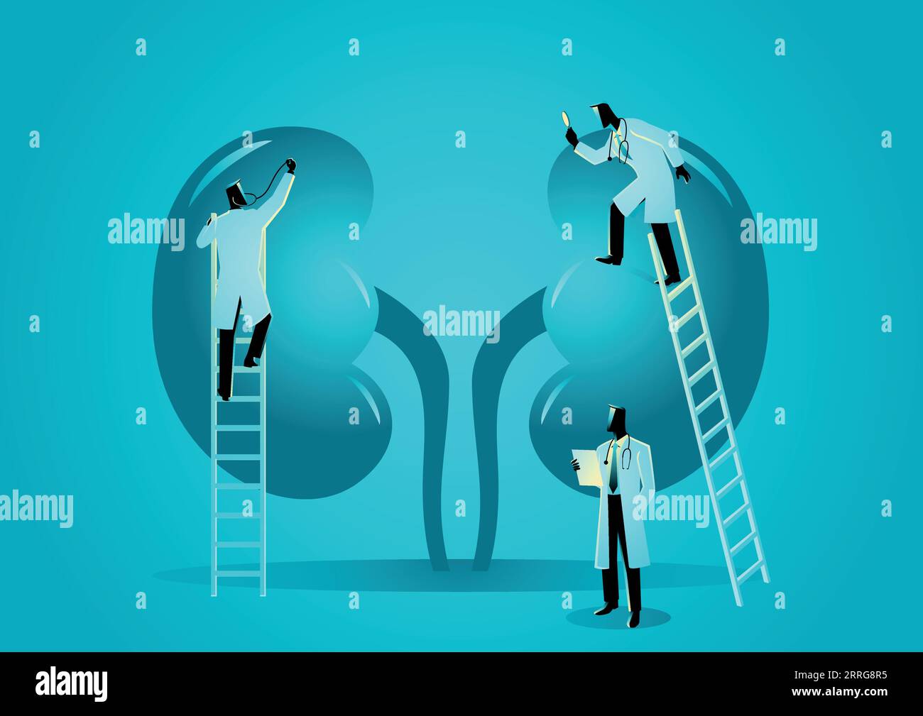 Vector graphic illustration of team of doctors diagnose human kidney ...