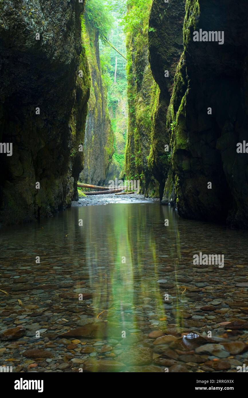 Oneonta gorge columbia river gorge hi-res stock photography and images ...