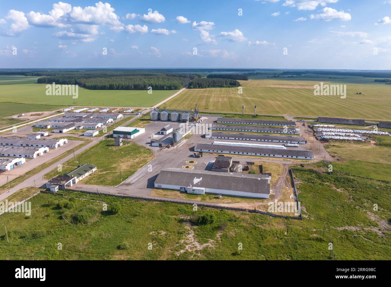 aerial panoramic view over livestock farm and agro-industrial complex ...
