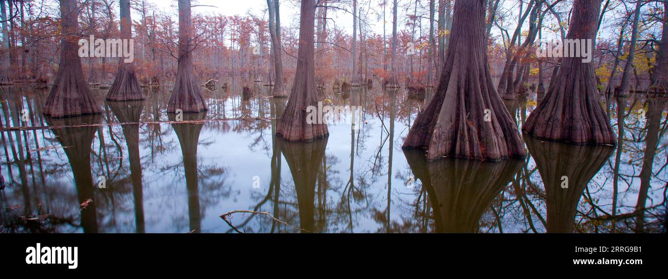 Heron Pond-Little Black Slough Nature Preserve is a parcel of protected ...