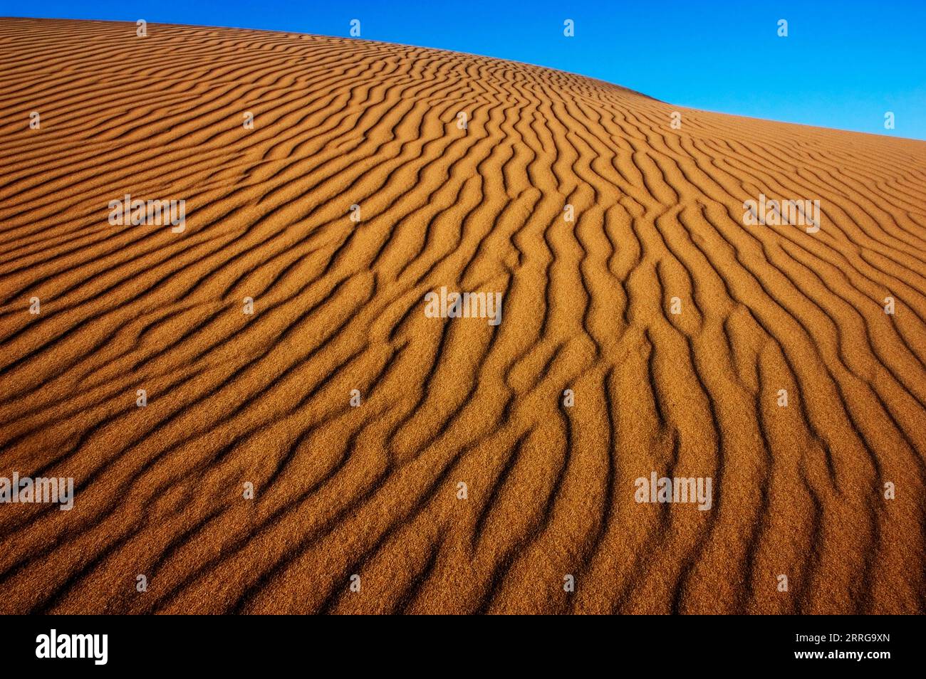 Oceano sand dunes Stock Photo - Alamy