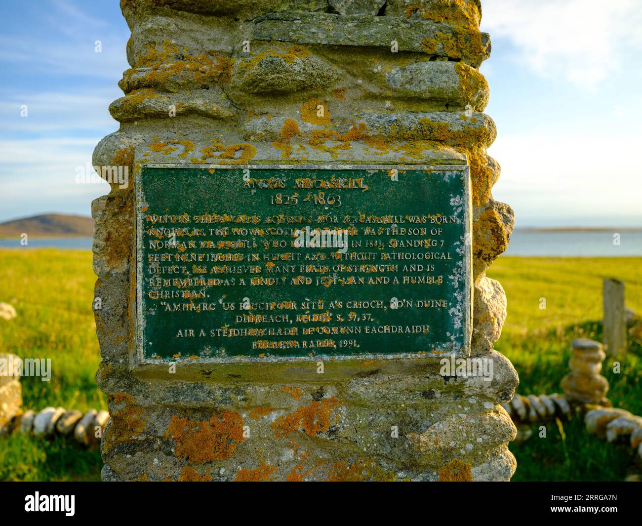 Giant macaskill hi-res stock photography and images - Alamy