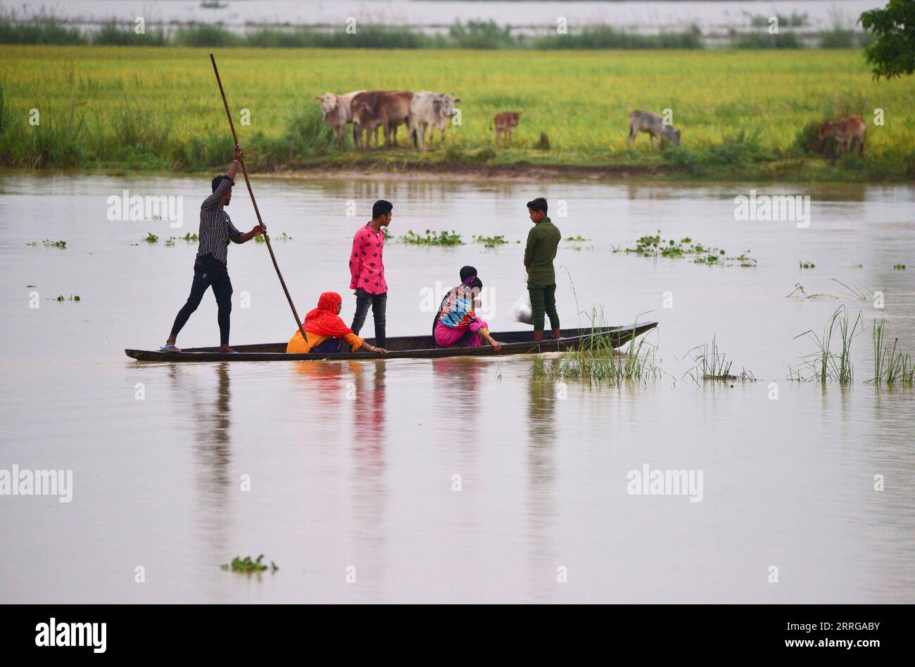 220515 -- NAGAON, May 15, 2022 -- Villagers row a boat to a safer place ...