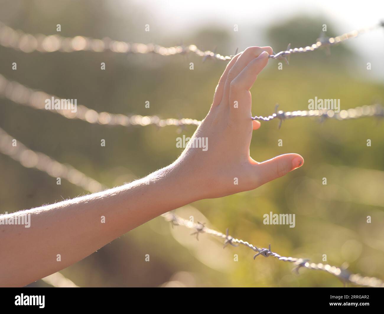 Hand with barbed wire hi-res stock photography and images - Alamy