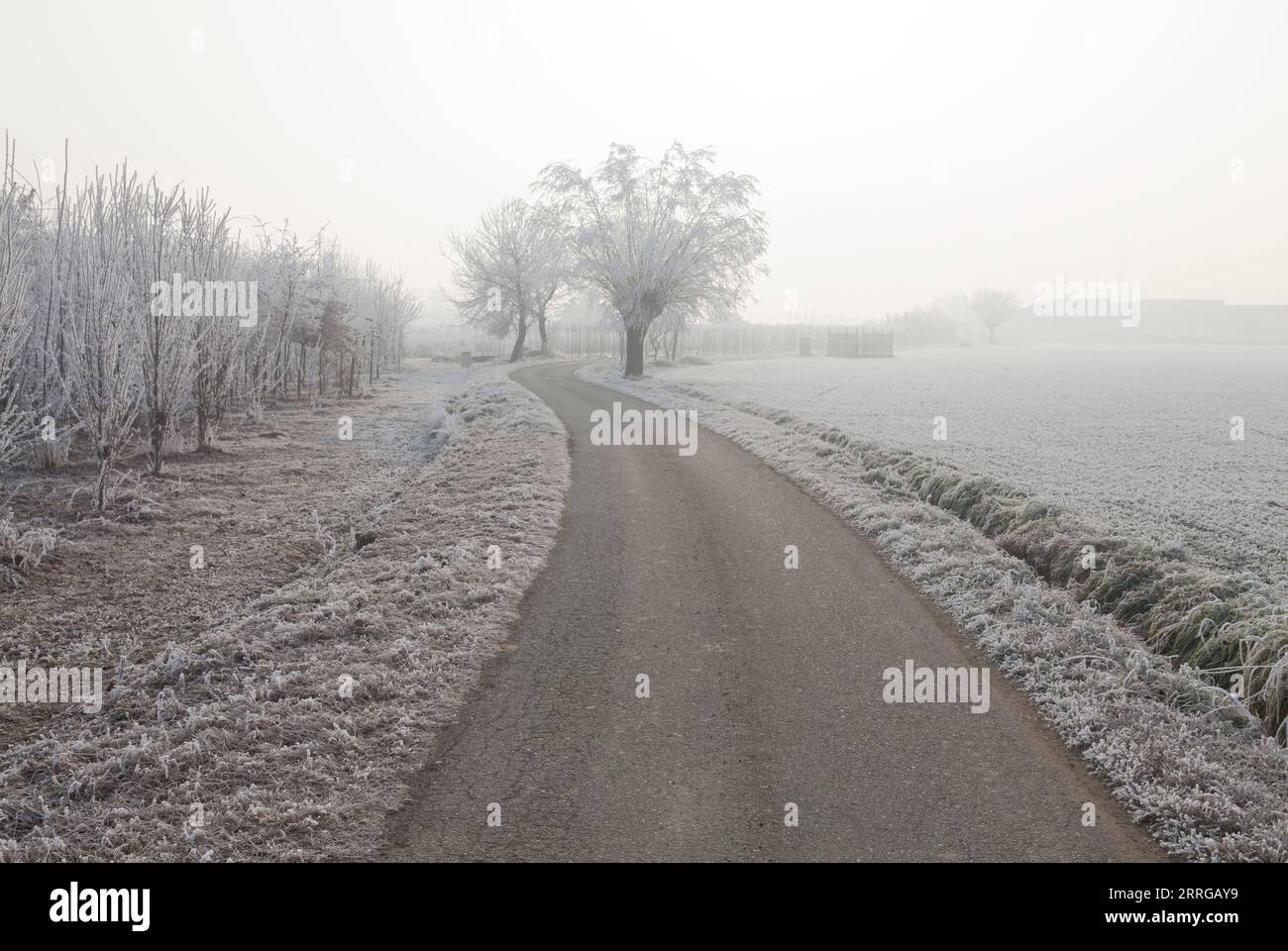 Very icy day hi-res stock photography and images - Alamy