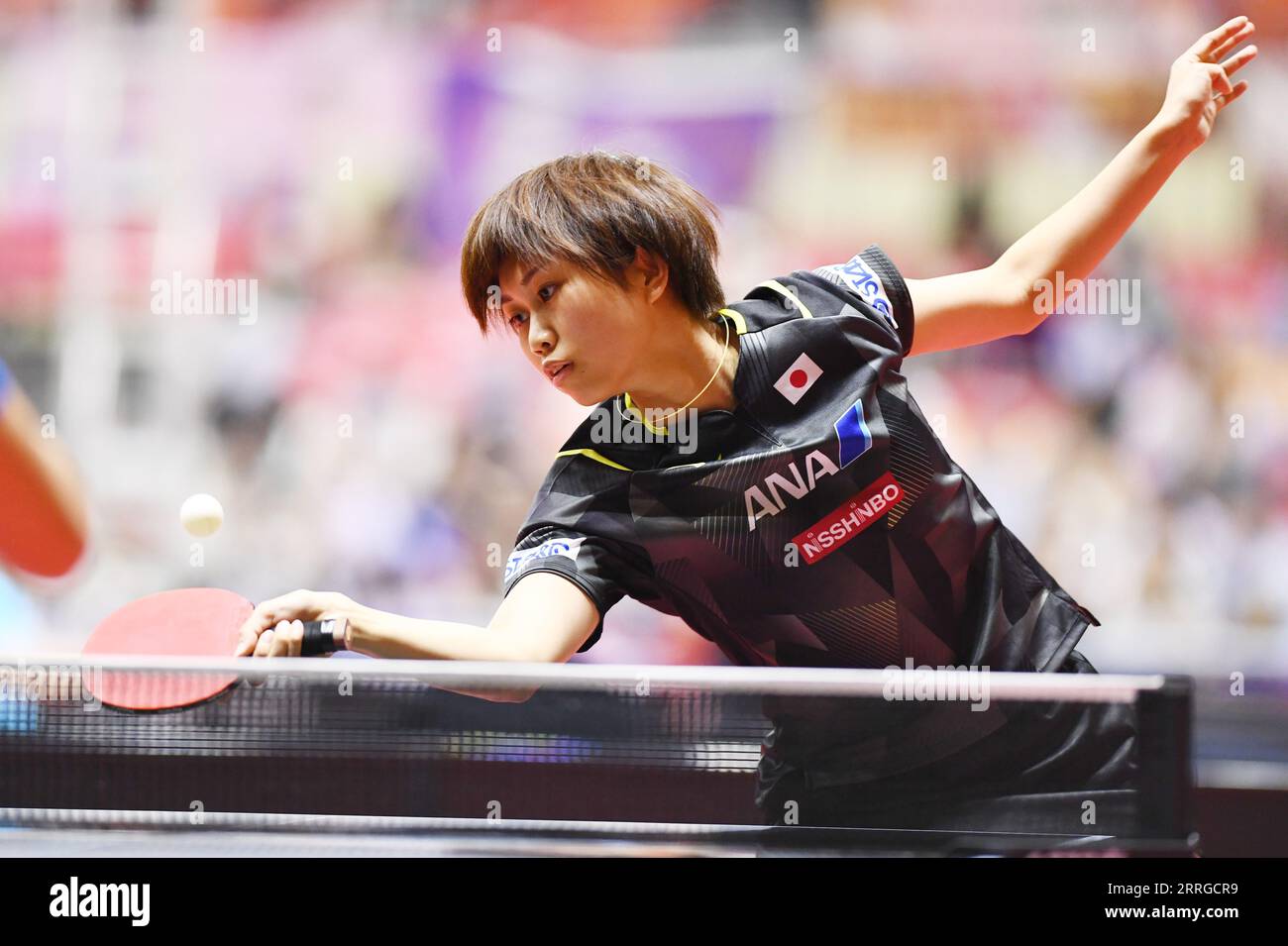 Republic sato hi-res stock photography and images - Alamy