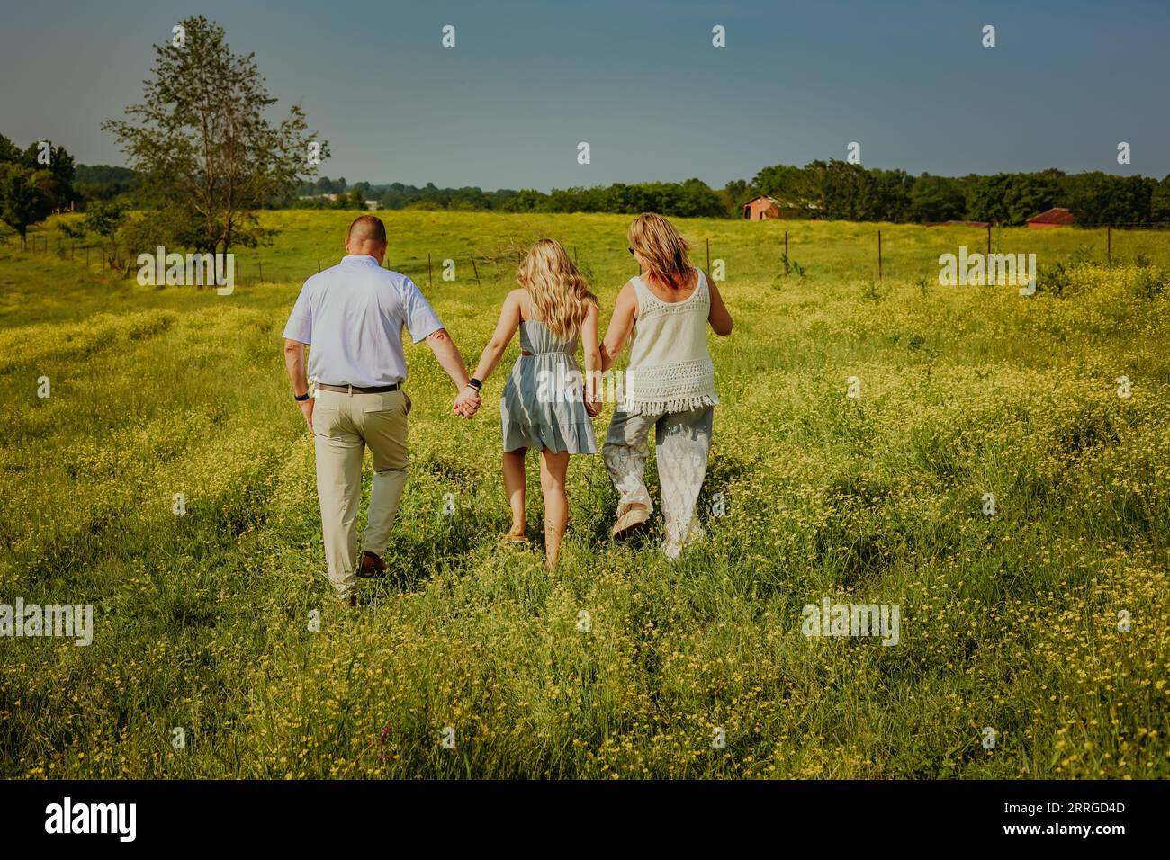Loving family of 3 holds hands and walks through field of flowers Stock ...