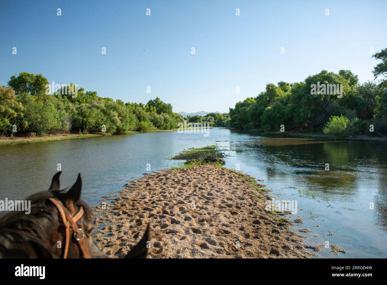 Western horseback riding in the Verde River Stock Photo - Alamy