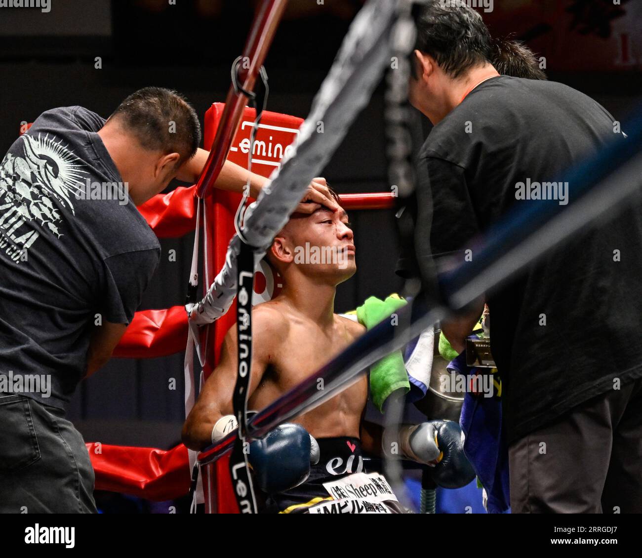 Tokyo, Japan. 30th Aug, 2023. Seiya Tsutsumi receives treatment to stop ...