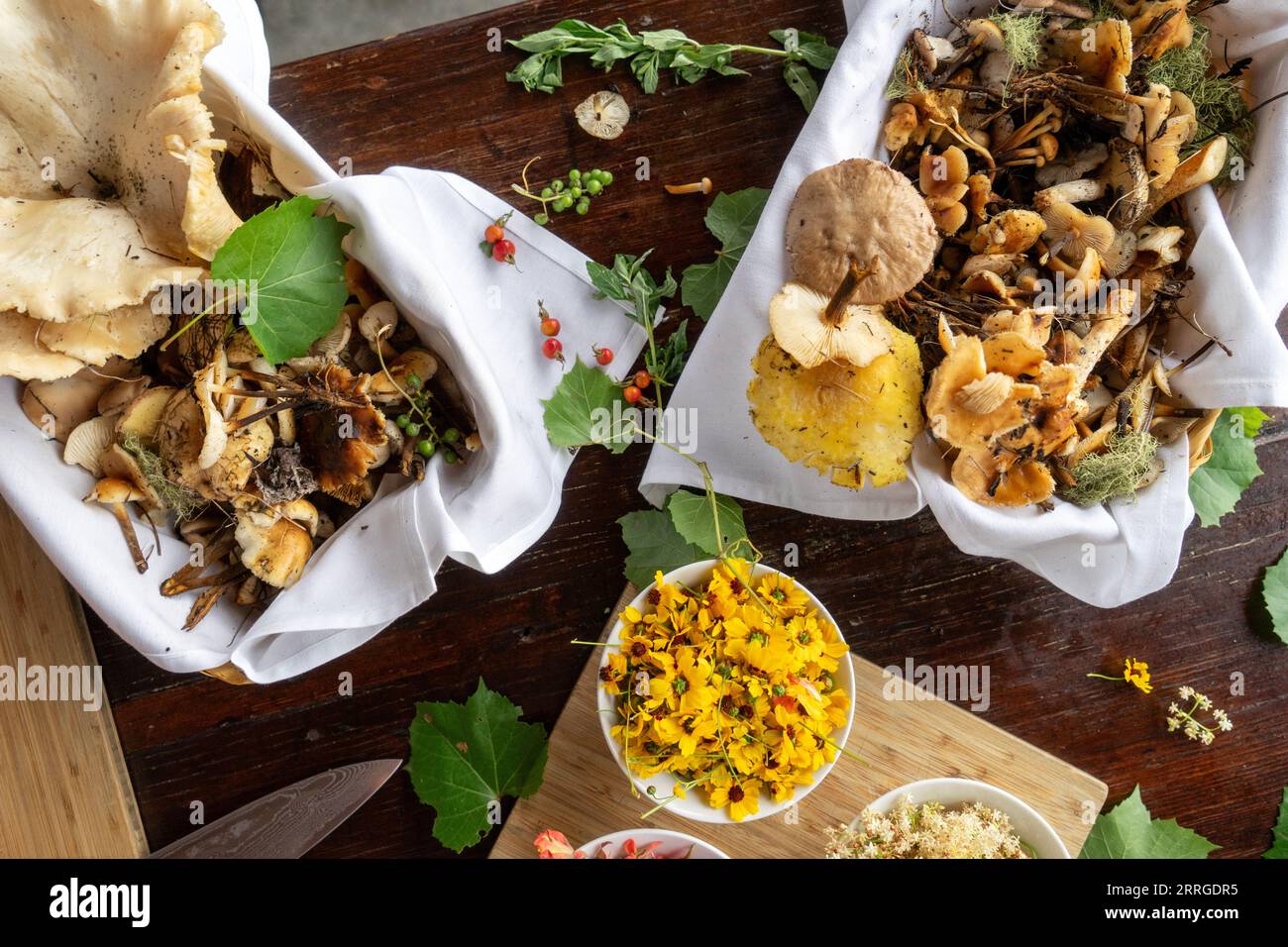Ingredients on display hi-res stock photography and images - Alamy