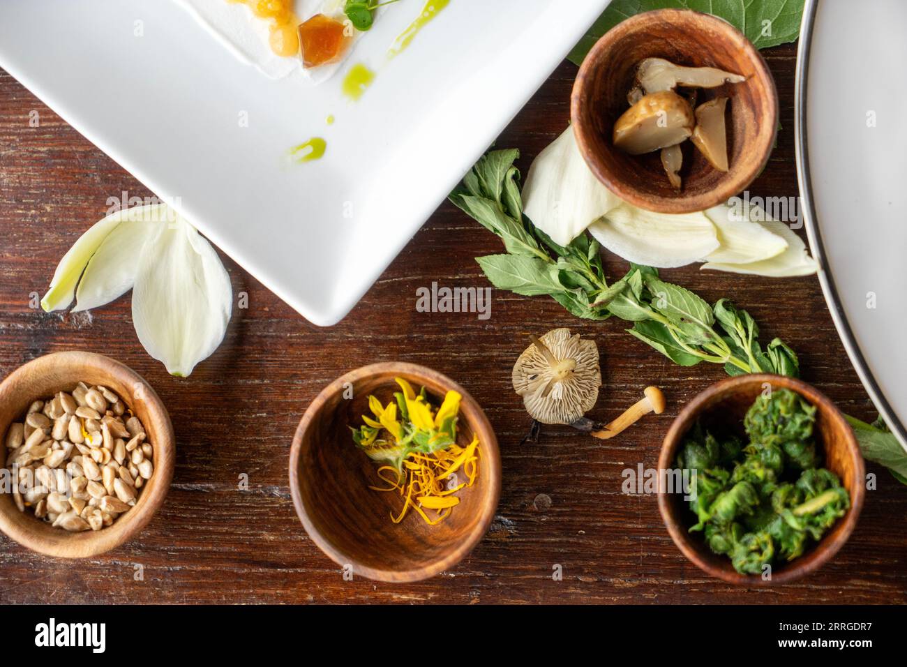 Overhead view of foraged ingredients on table Stock Photo - Alamy