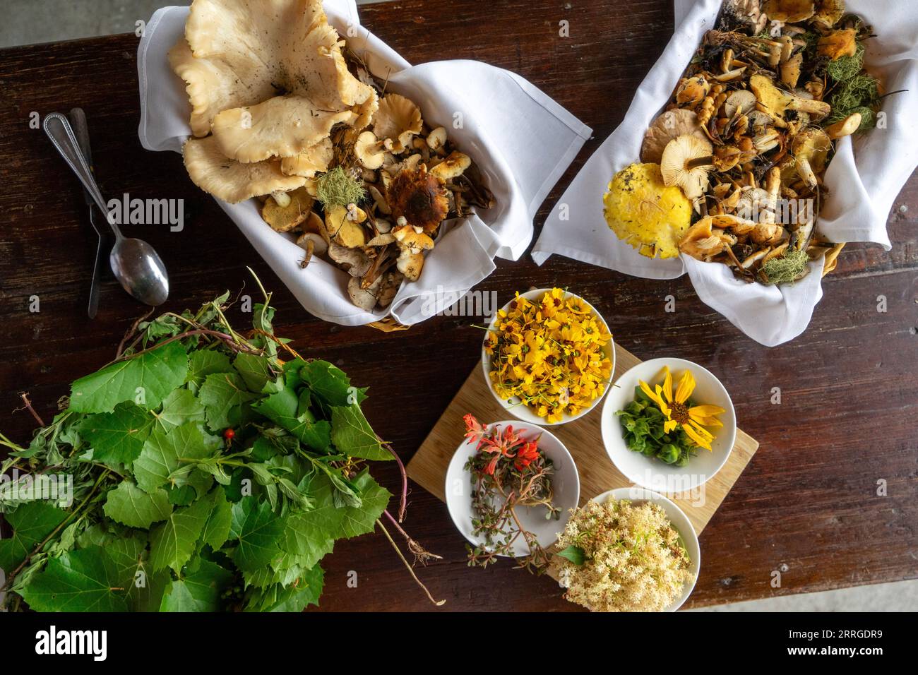 A variety of foraged ingredients on display table looking down Stock ...