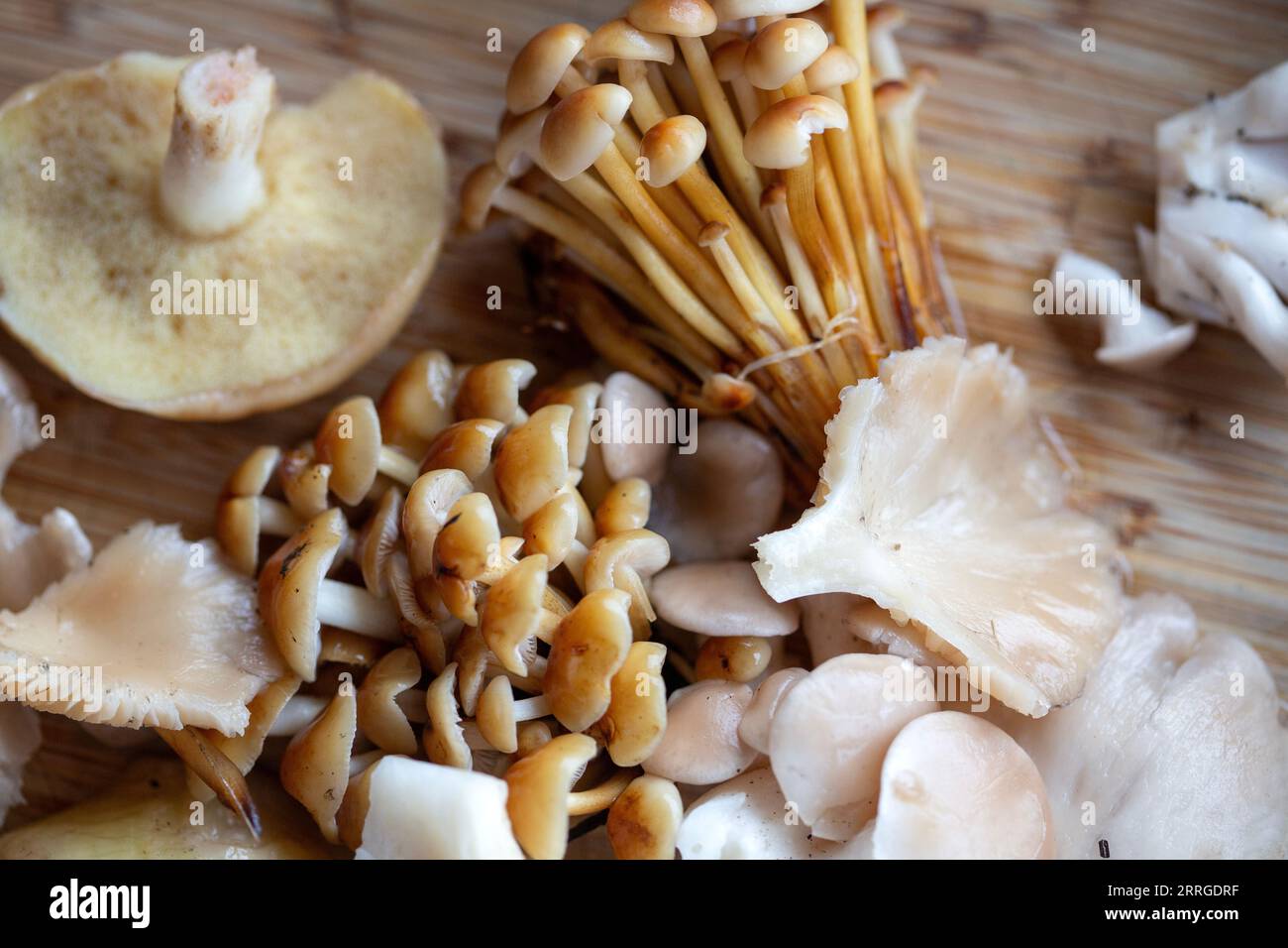 Foraged food plants hi-res stock photography and images - Alamy