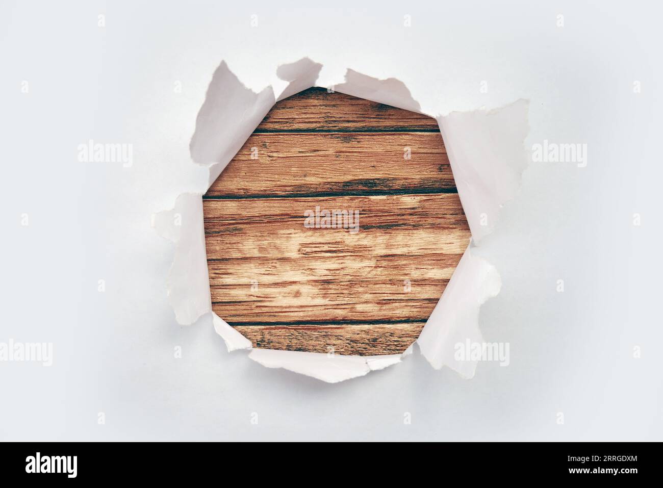 Big paper hole in the middle of pink background. Blank space to insert ...