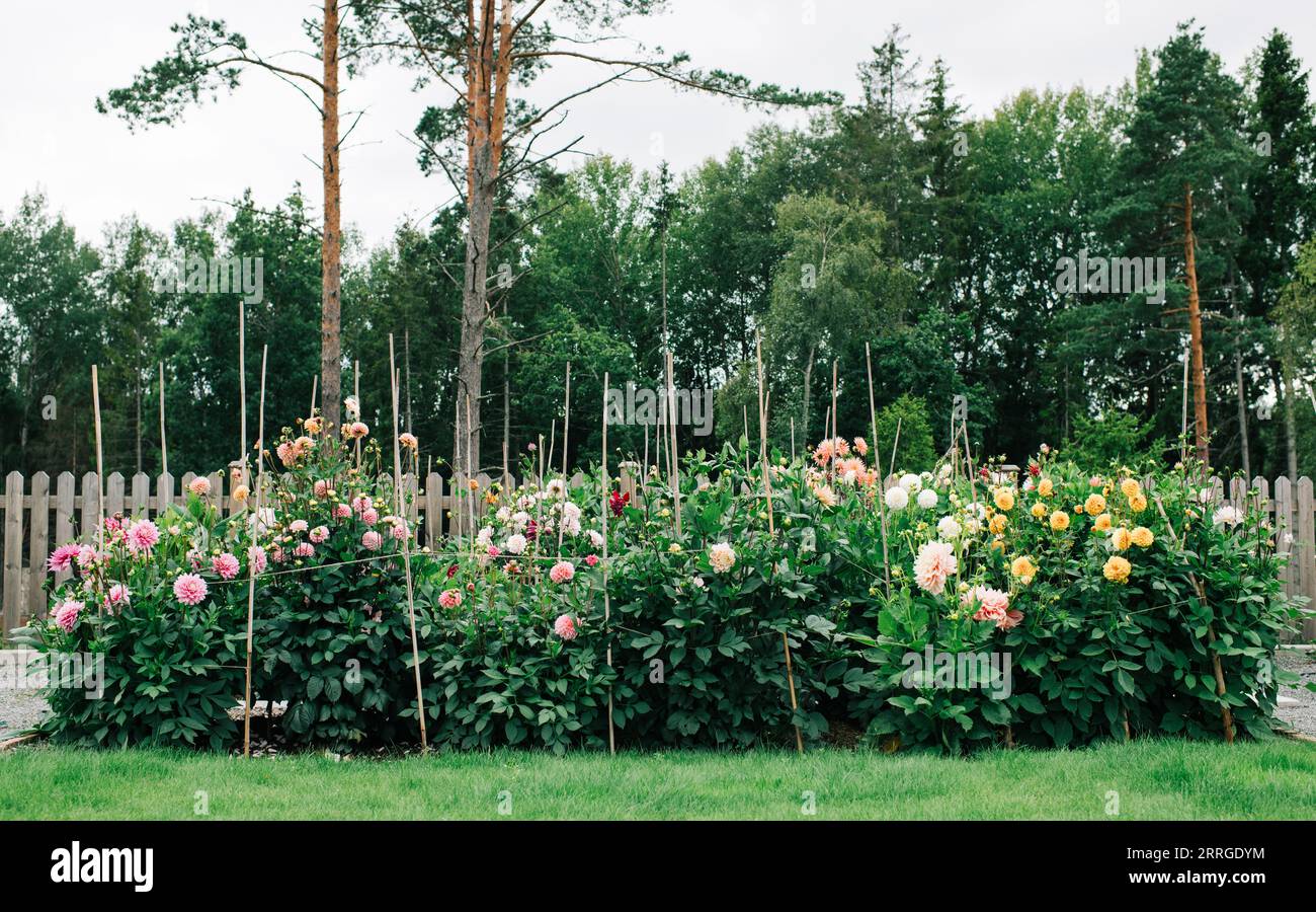 Beautiful garden in sweden hi-res stock photography and images - Alamy