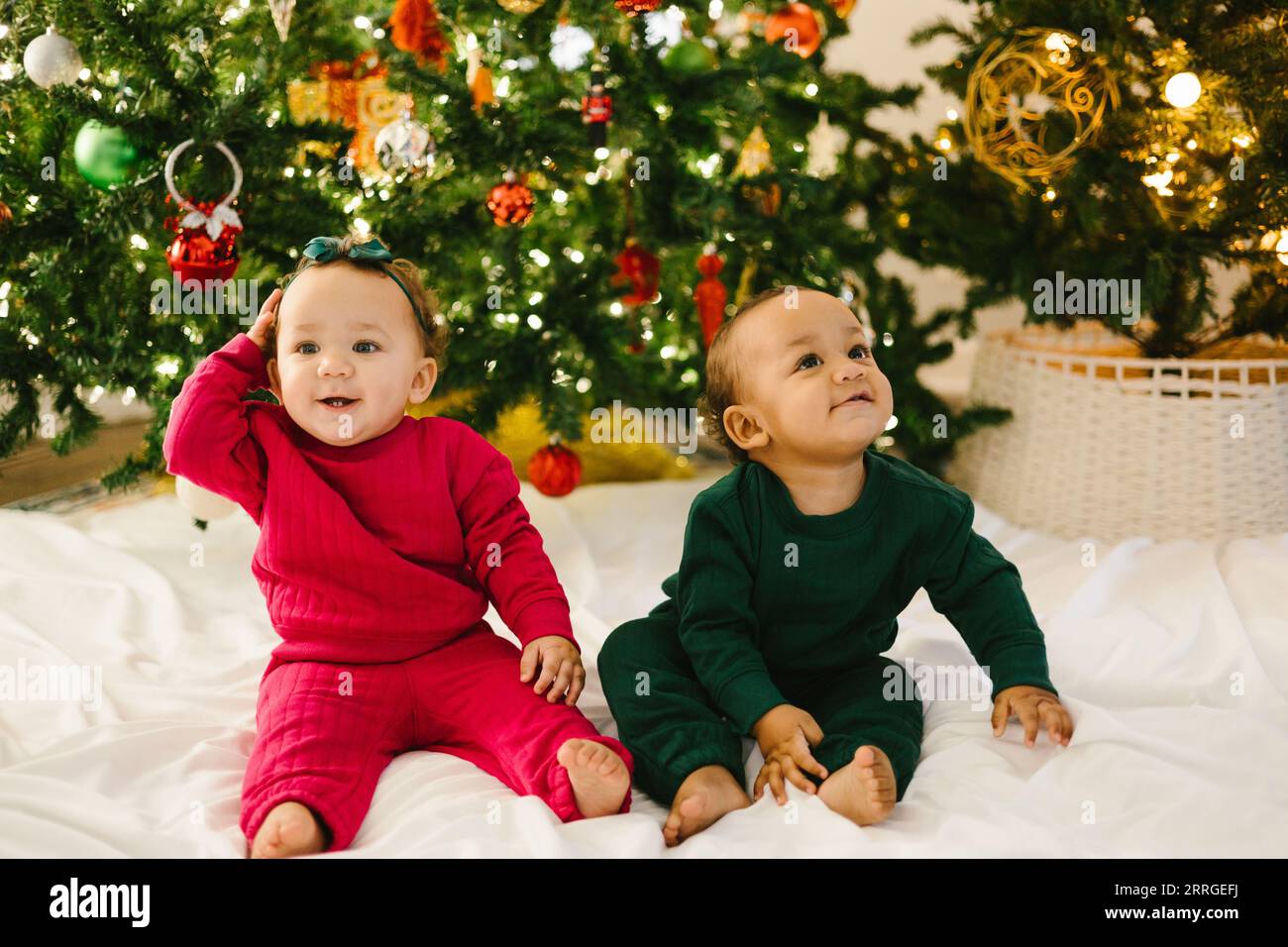 Twin multi race babies in front of christmas trees smiling Stock Photo ...