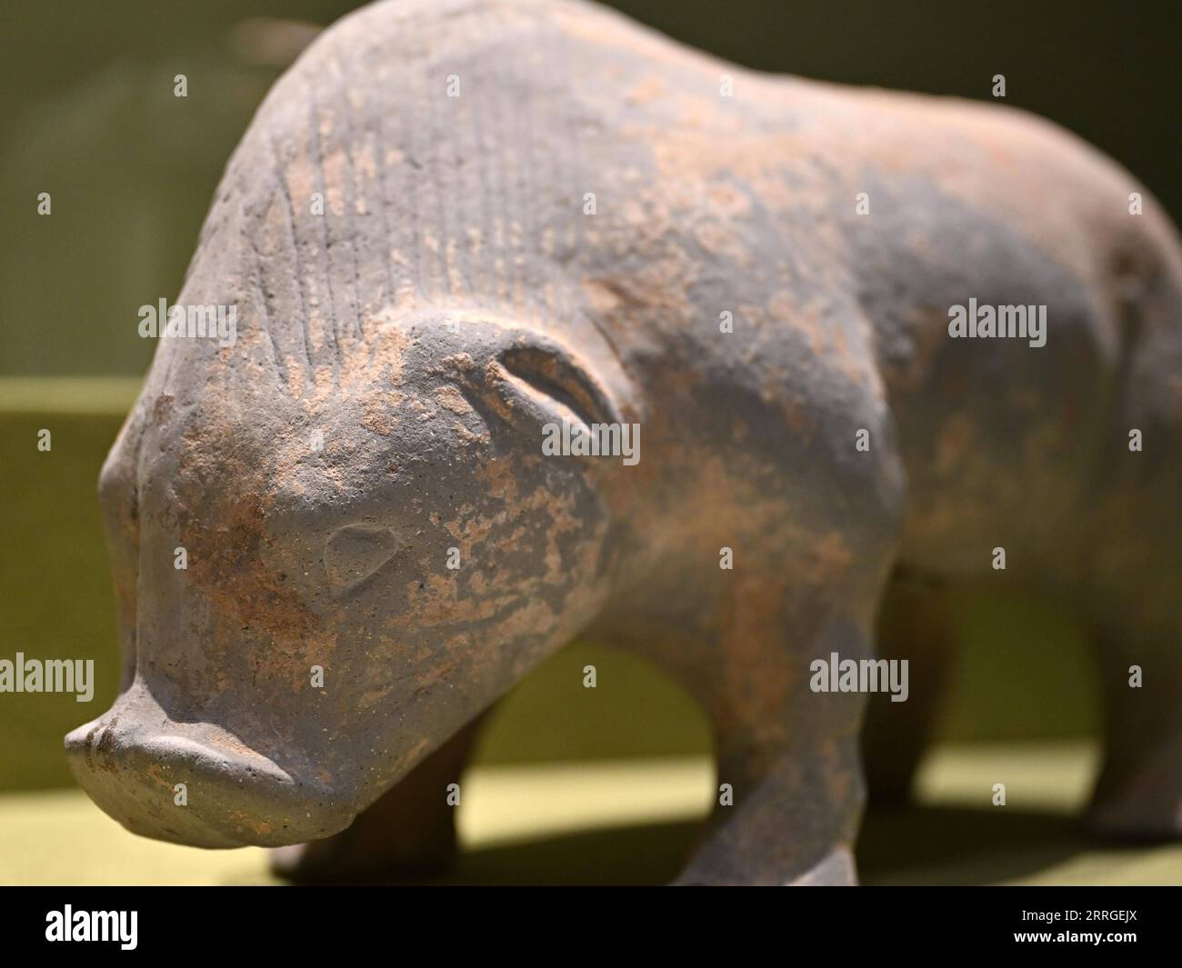 220518 -- HAIKOU, May 18, 2022 -- A pig-shaped pottery of the Han ...
