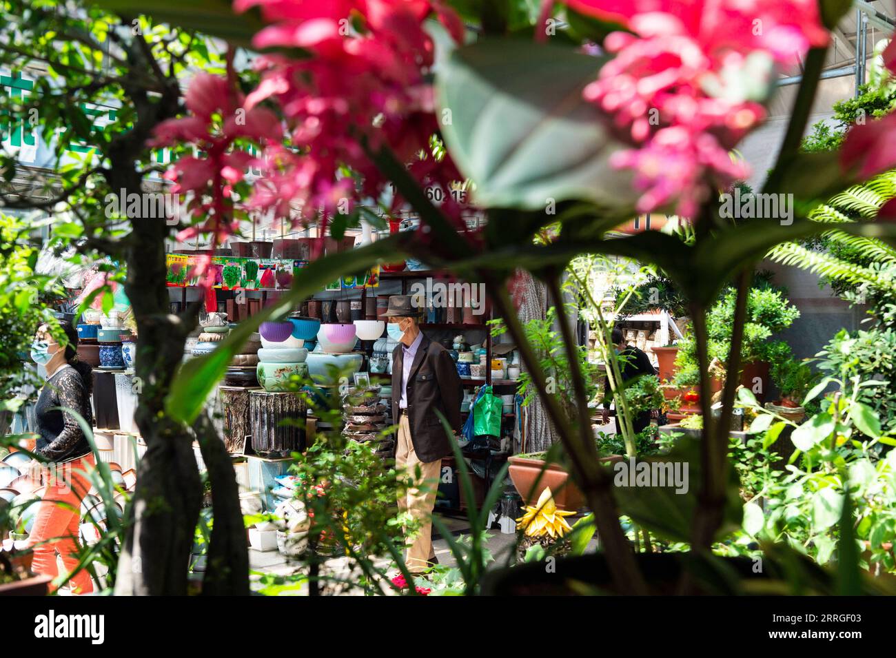 18 the normal hi-res stock photography and images - Alamy