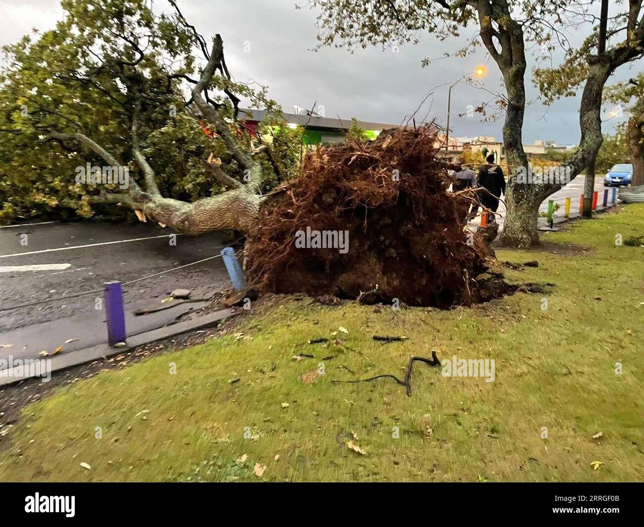 Levin new zealand hi-res stock photography and images - Alamy