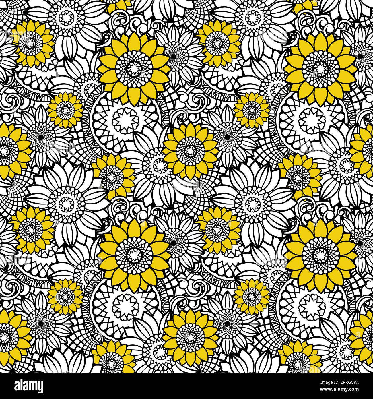 Sunflower wrap hi-res stock photography and images - Alamy