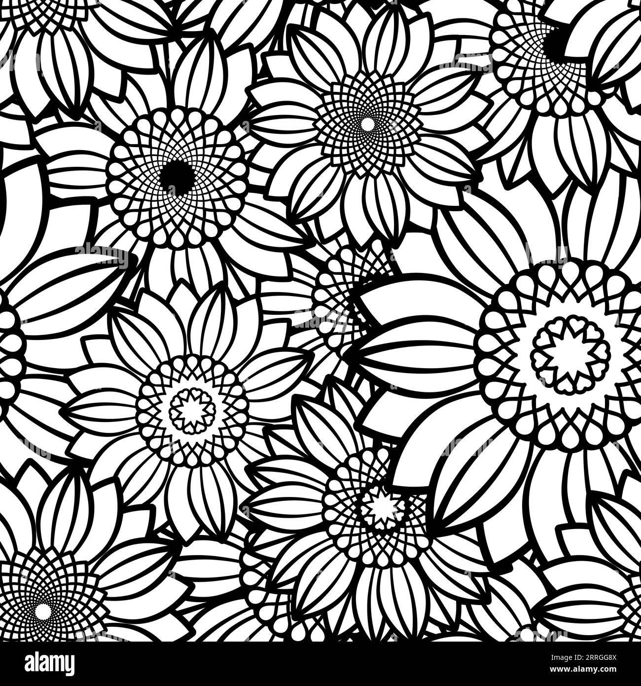 Coloring page with sunflowers hi-res stock photography and images - Alamy