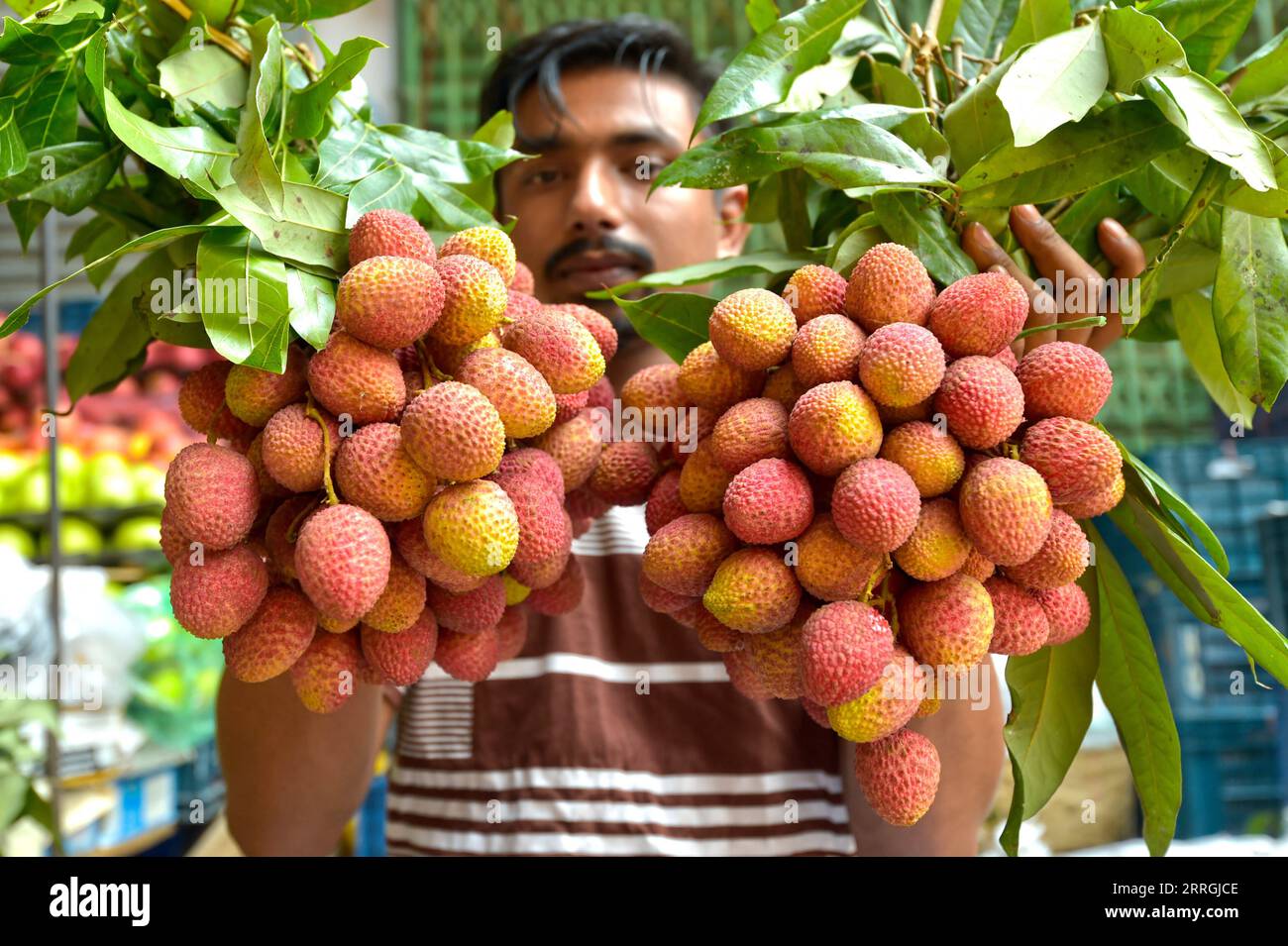 Lychee bangladesh hi-res stock photography and images - Alamy