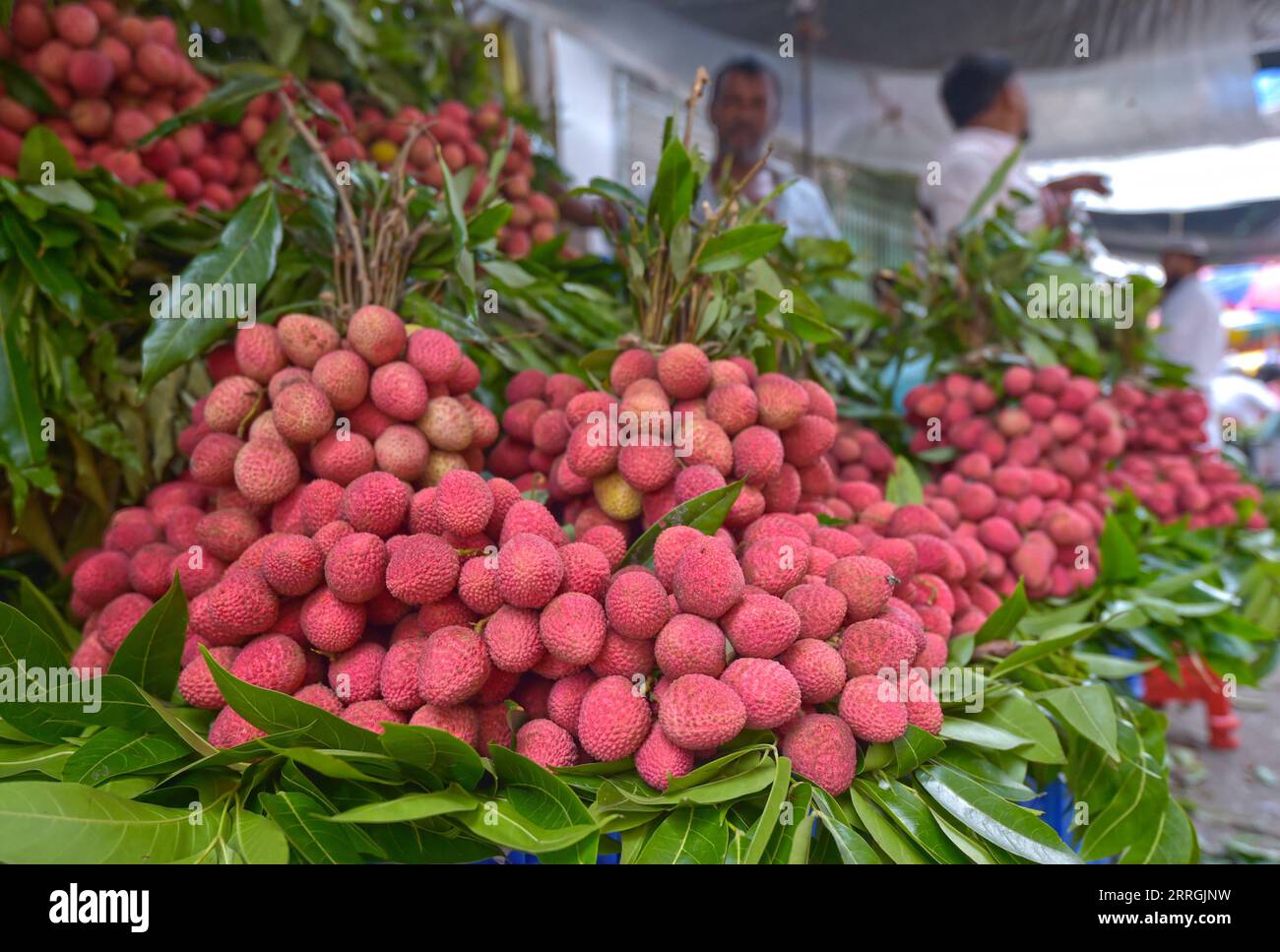 Lychee bangladesh hi-res stock photography and images - Alamy