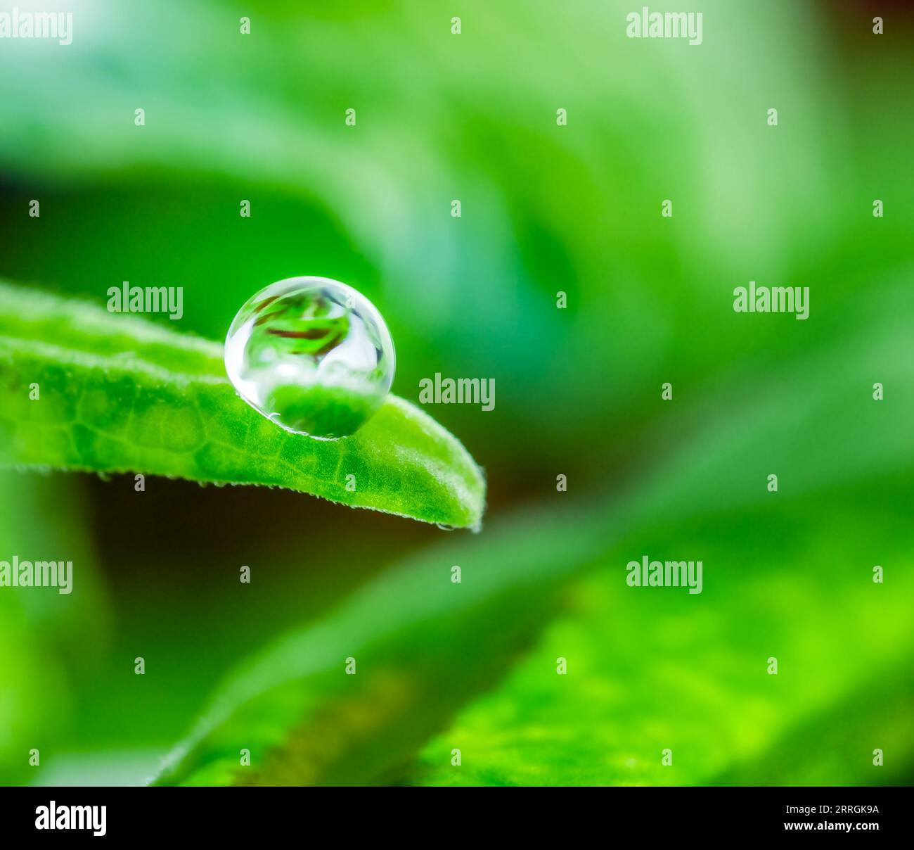 Rain water conservation hi-res stock photography and images - Alamy
